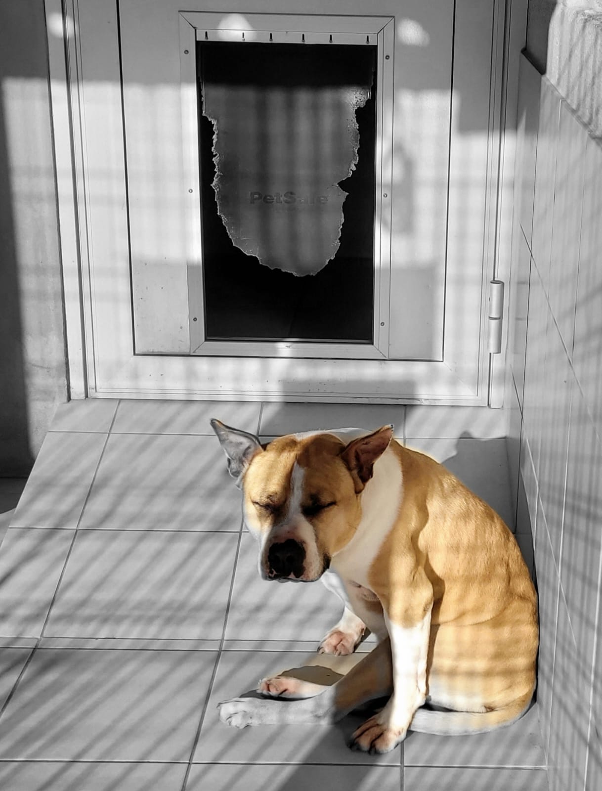 RED – Refuge de Sassay